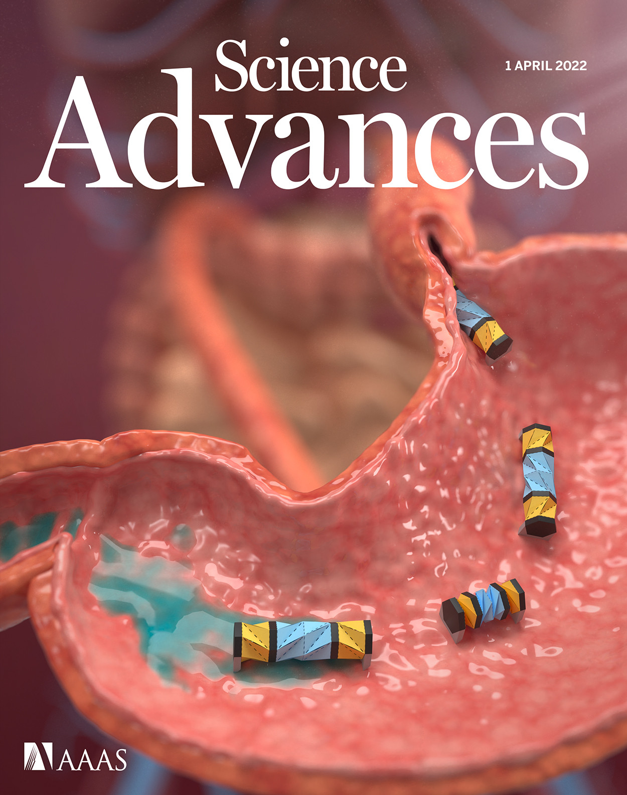 Publications | Wang Lab